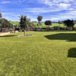 WinterGreen 78 - Synthetic Turf | Residential & Commercial Artificial Grass